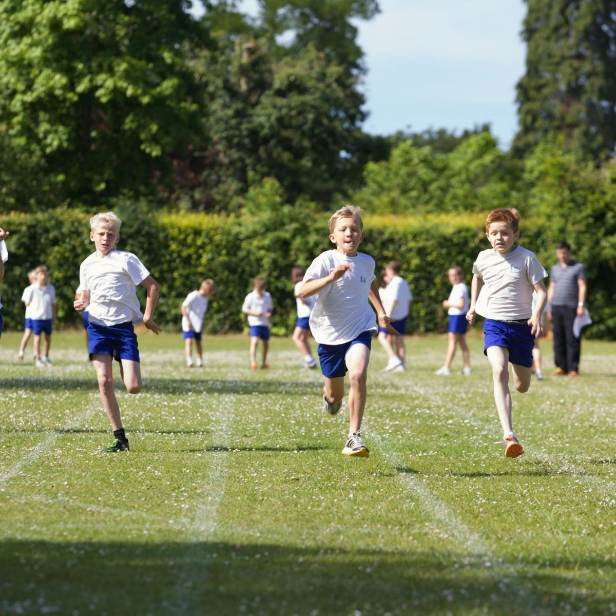 South Farnham Educational Trust - South Farnham Educational Trust ...